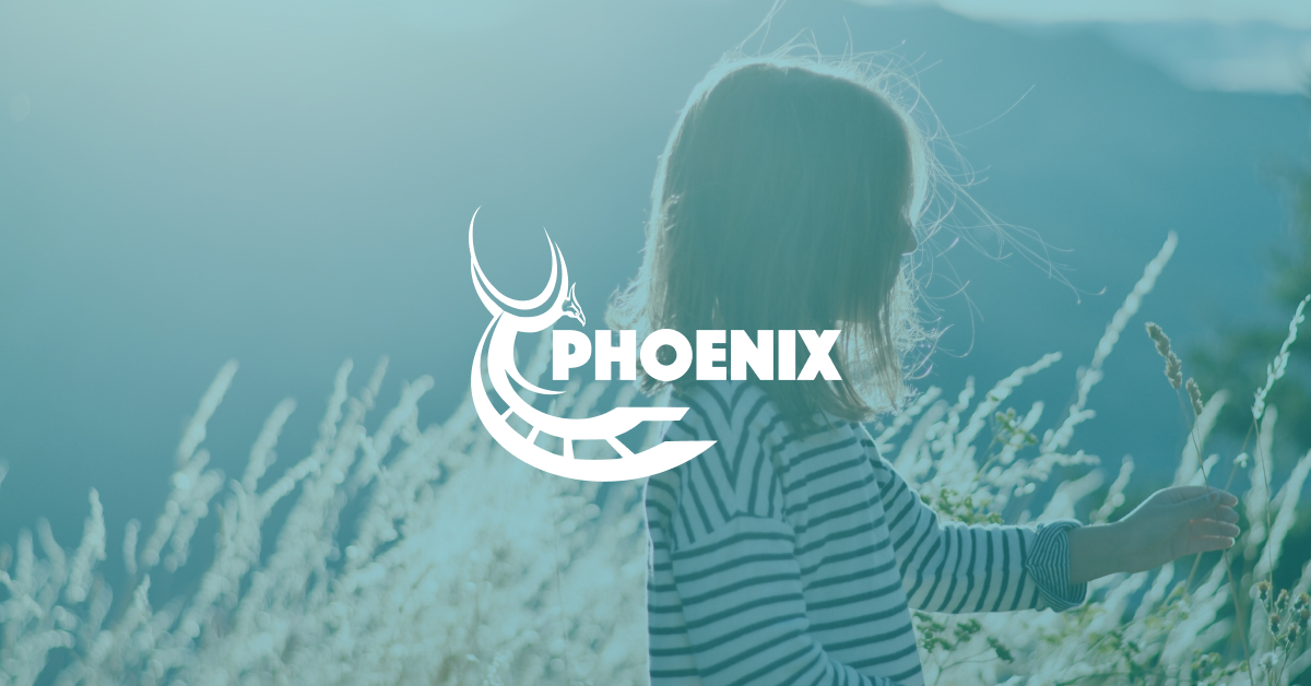 Phoenix Education